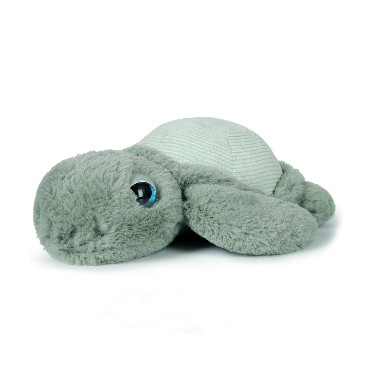 Little Tyler Turtle – Little Sunshine Kids