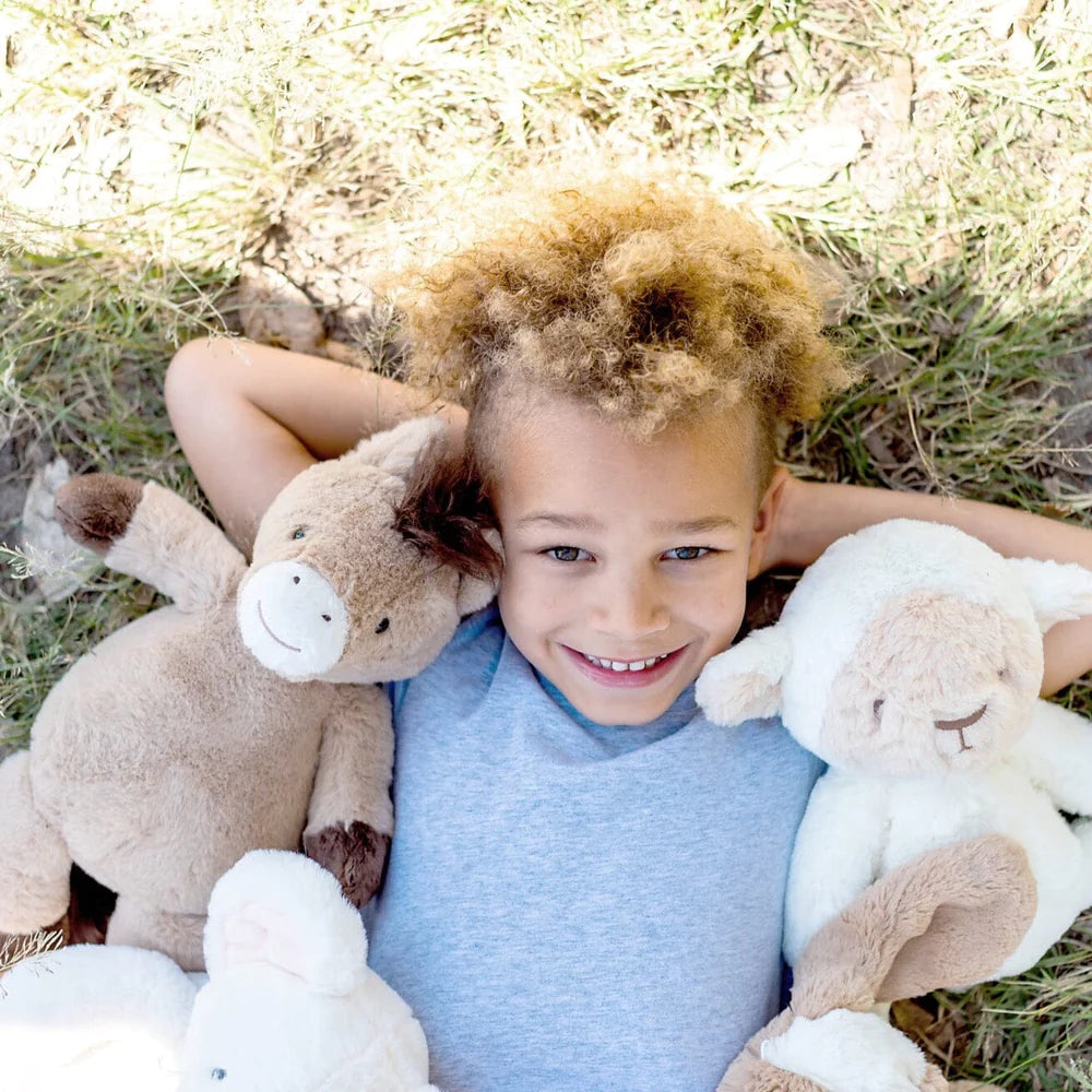 Dusty Pony – Little Sunshine Kids